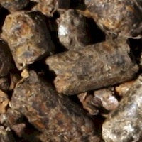 Citrus Pellets – GP Feeds